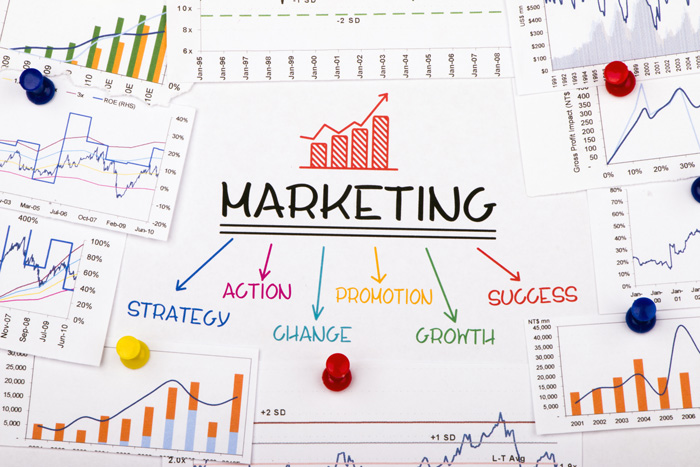 Marketing Strategy Development Services for Small Business